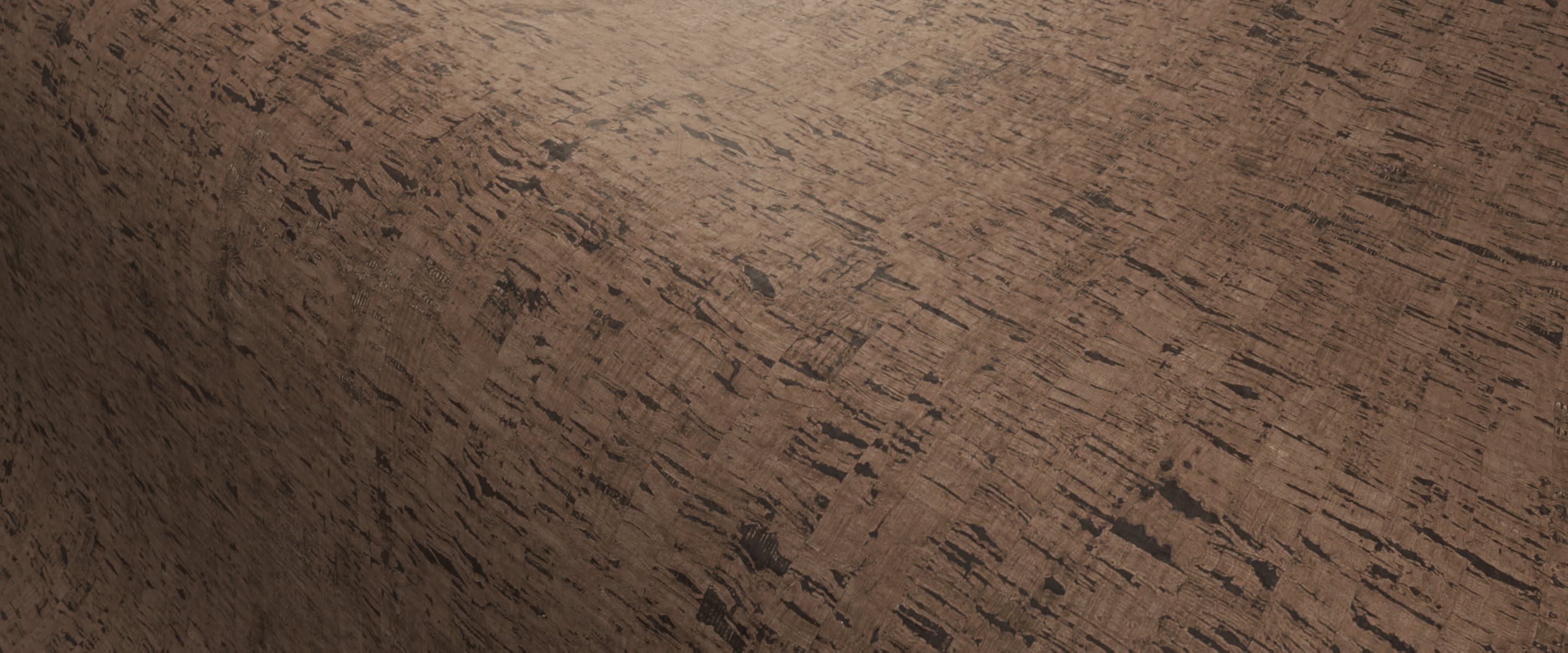 CALLIGRAPHY CASCA - Baresque